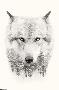 'Wolf - Trees' Premium Edition | AllPosters.com