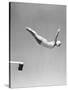 Woman Swan Dive Off Diving Board, 1950 Stretched Canvas Print ...