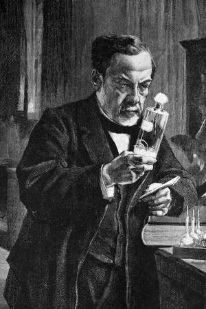 'Woodcut after Louis Pasteur in His Laboratory by Albert Edelfelt ...