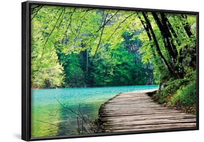 'Wooden Path Near A Forest Lake' Posters | AllPosters.com