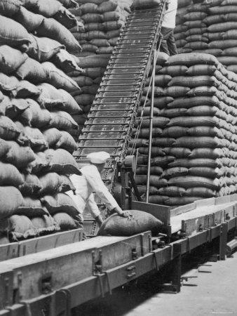 'Workers Unloading Bags of Cocoa Beans at a Cadbury Manufacturing Plant ...