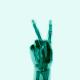 'X-Ray of Hand Doing Peace Sign' Photographic Print | AllPosters.com
