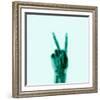 'X-Ray of Hand Doing Peace Sign' Photographic Print | AllPosters.com