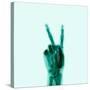 'X-Ray of Hand Doing Peace Sign' Photographic Print | AllPosters.com