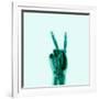 'X-Ray of Hand Doing Peace Sign' Photographic Print | AllPosters.com