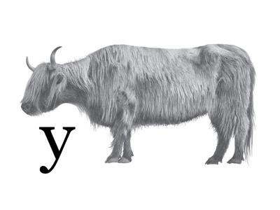 'Y is for Yak' Poster - Stacy Hsu | AllPosters.com