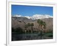 'USA, California, Palm Springs, Reflection of San Jacinto Range in Lake ...