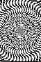 'Zebra Stripe Optical Illusion' Posters - Trends International ...