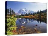 Landscape Posters - Framed Prints, Canvases, & Wall Art - Buy Online ...