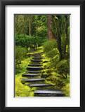 Landscape Posters - Framed Prints, Canvases, & Wall Art - Buy Online ...