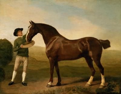 George Stubbs, Prints and Posters at Art.com