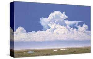 Jack Saylor, Posters and Prints at Art.com