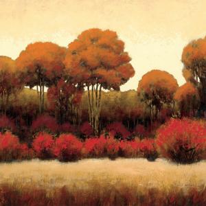 James Wiens, Posters and Prints at Art.com