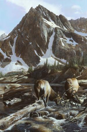 Kevin Daniel, Posters and Prints at Art.com