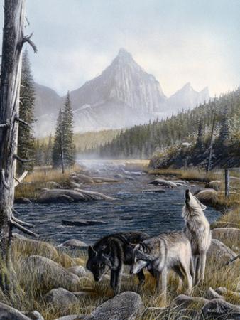 Kevin Daniel, Posters and Prints at Art.com