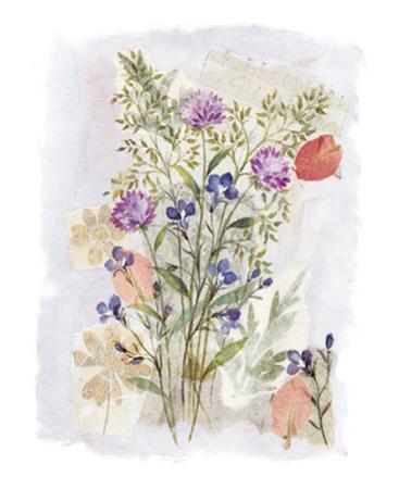 Clover, Posters and Prints at Art.com