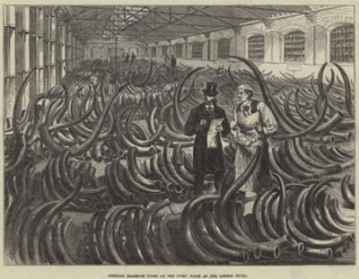 Melton Prior, Posters and Prints at Art.com