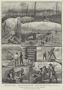 Melton Prior, Posters and Prints at Art.com