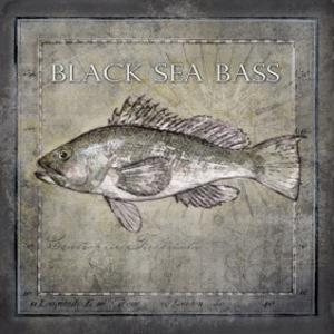 Bass, Posters and Prints at Art.com