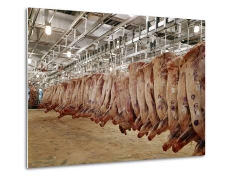 1970s Sides of Raw Beef Hanging in Refrigerated Room of Meat Packing ...