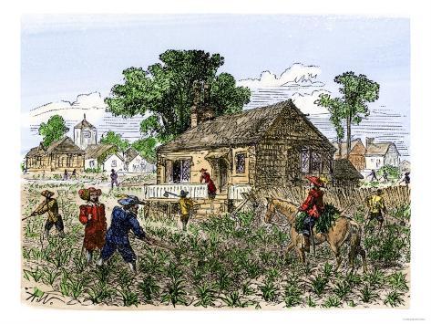 Virginia Colony Tobacco Plantations