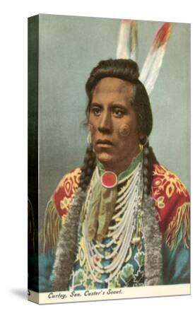 'Curley, Crow Indian, General Custer's Scout' Prints | AllPosters.com