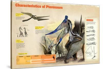 'Infographic About Pterosaurs, a Prehistoric Flying Reptile, Skull ...