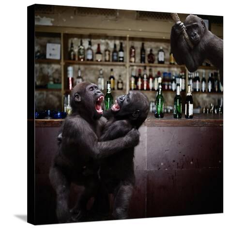 Calabria Drunken Monkey Original