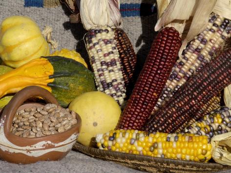 Squash, Corn, and Beans: the Three Sisters of Native American ...