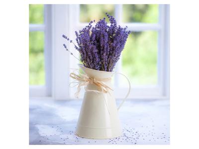 'Vase of Lavender By the Window' Premium Giclee Print - | AllPosters.com