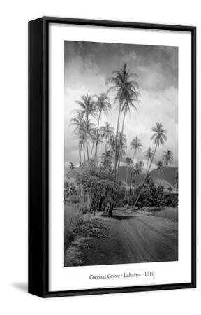 Hawaii Black and White Photography, Posters and Prints at Art.com