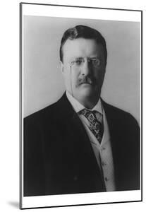 Theodore Roosevelt, Posters and Prints at Art.com