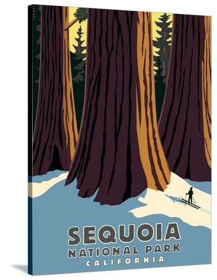 'Sequoia' Stretched Canvas Print - Steve Forney | AllPosters.com