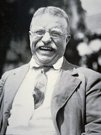 'President Theodore Roosevelt, c.1917' Photographic Print | AllPosters.com