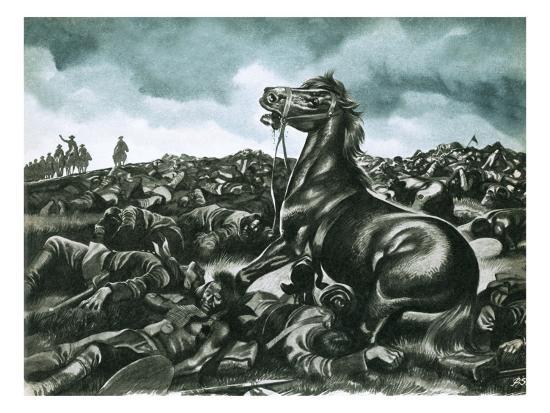 'Comanche, the Lone Survivor of Custer's Last Stand' Giclee Print - Ron ...