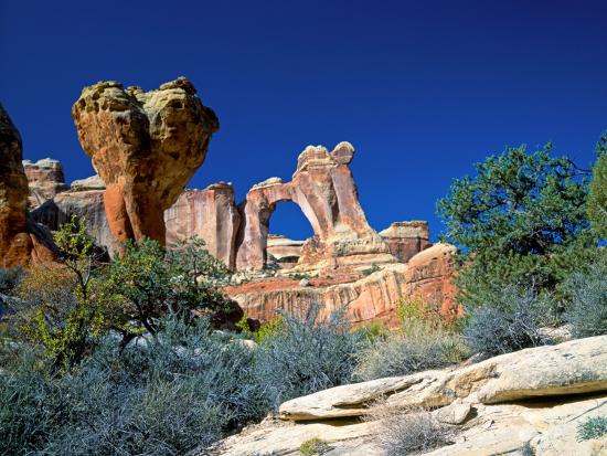 'Angel Arch and the Molar in the Salt Creek Valley, Canyonlands ...