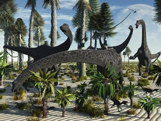 A Herd of Diplodocus Dinosaurs Feeding on Plants Photographic Print by ...
