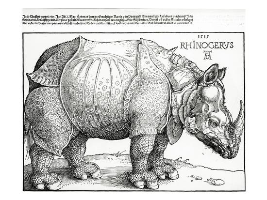 'The Rhinoceros, 1515 (Woodcut)' Giclee Print - Albrecht Dürer ...