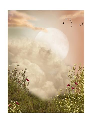 Magic Landscape Posters by justdd at AllPosters.com