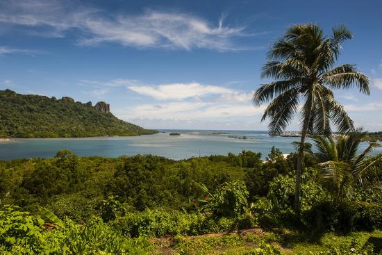 'Lonely Palm Tree, Pohnpei (Ponape), Federated States of Micronesia ...