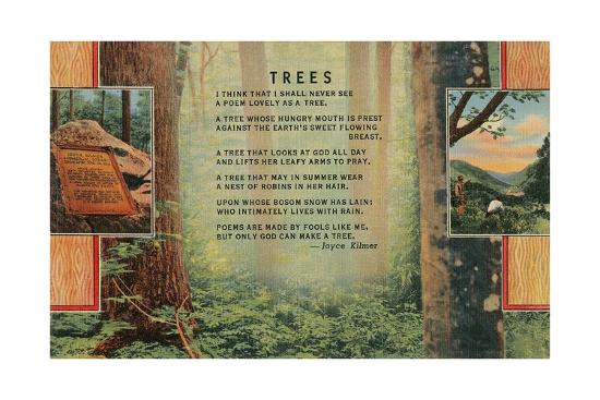'Joyce Kilmer Trees Poem, Forest' Giclee Print - | AllPosters.com