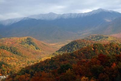 'Mt LeConte above fall foliage, Smoky Mountains, Tennessee, USA ...
