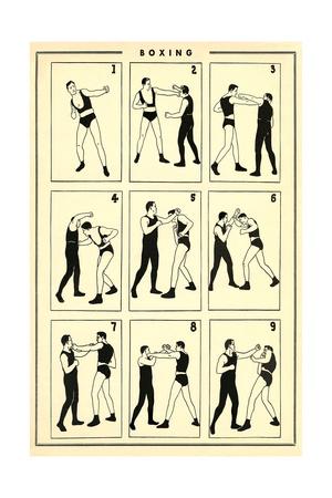 'Chart of Boxing Moves' Print | AllPosters.com