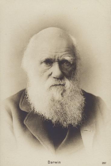 'Charles Darwin' Photographic Print | AllPosters.com