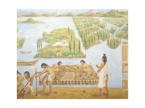 The Construction of the City in Tenochtitlan: Showing the Chinampas ...