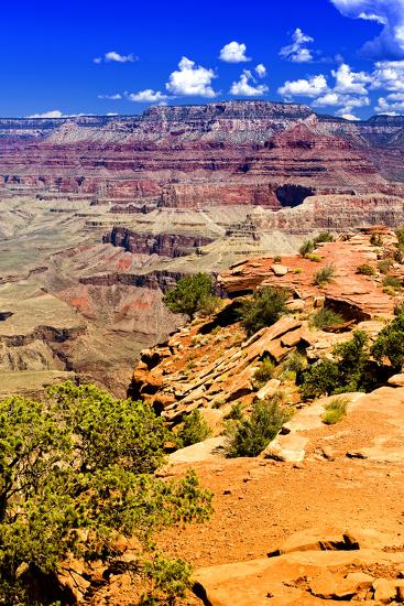 'Cedar Ridge - Grand Canyon - National Park - Arizona - United States ...
