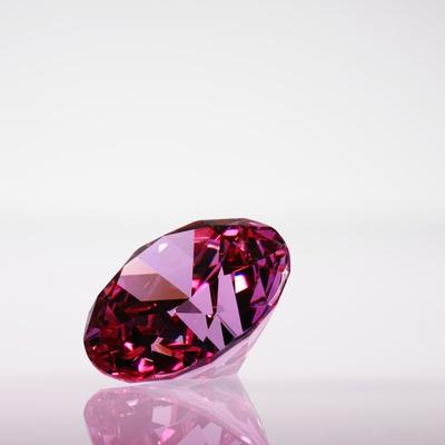 'Pink Jewel' Photographic Print | AllPosters.com