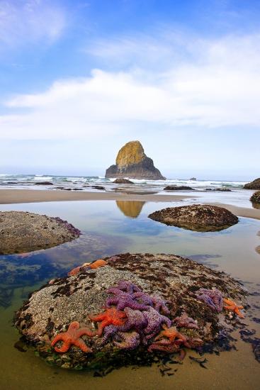 'Starfish and Rock Formations along Indian Beach, Oregon Coast ...
