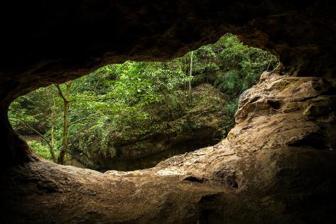 'Green Trees View from the inside of the Cave' Photographic Print ...