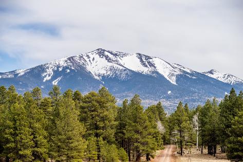 Landscape with Humphreys Peak Tallest in Arizona Photographic Print by ...